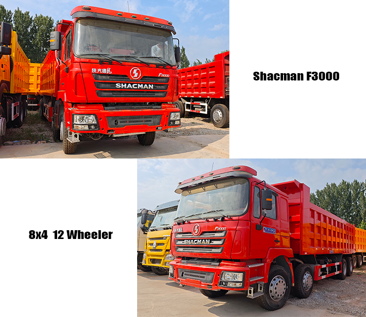 2021 Used Shacman F3000 8x4 12 Wheeler Dump Truck for Sale in Zimbabwe
